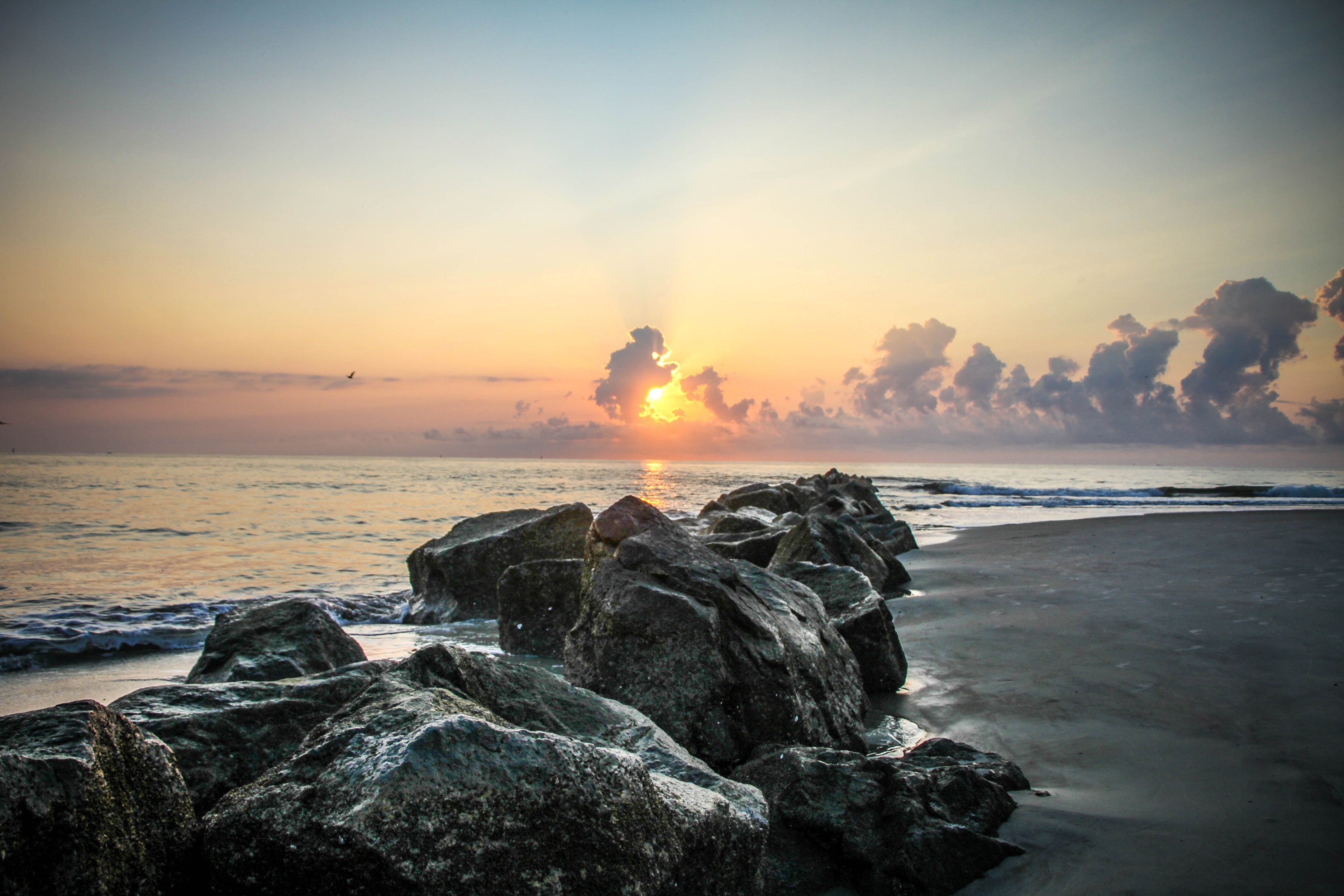 What Is the Low Country? | History, Culture & Community – Low Country Grit